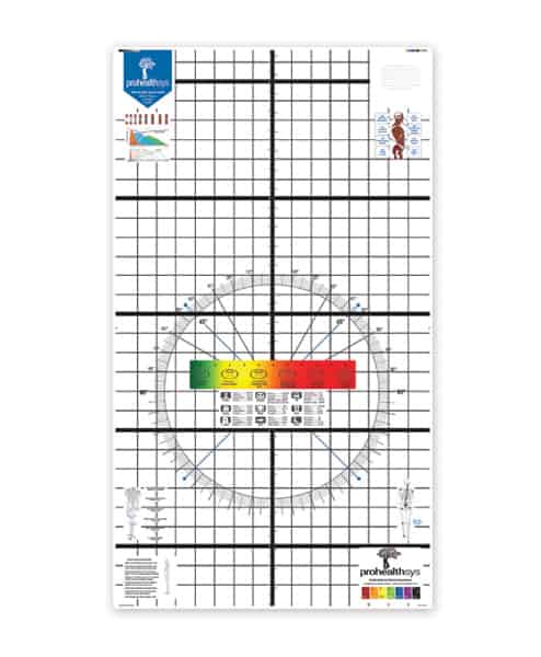 Knee Exrx Poster Prohealthsys